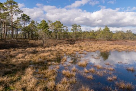 Health And Safety Tips For Accessing Bogs • Ground Protection Ireland